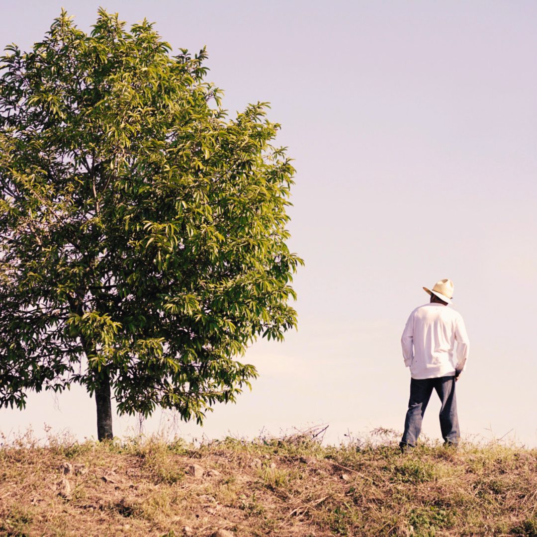 ‘Arriba’ A journey of sustainability, passion and intense flavours ...