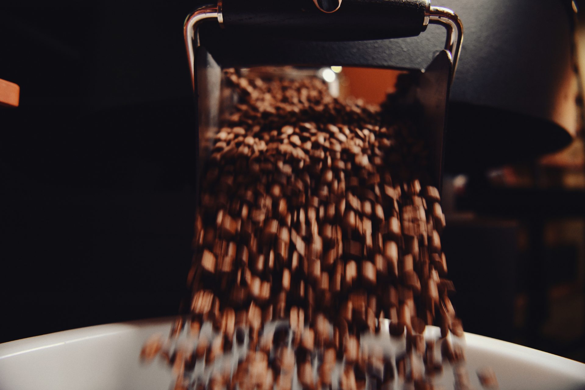 Unveiling the complex flavour profile of our Colombian Geisha - Vicky ...